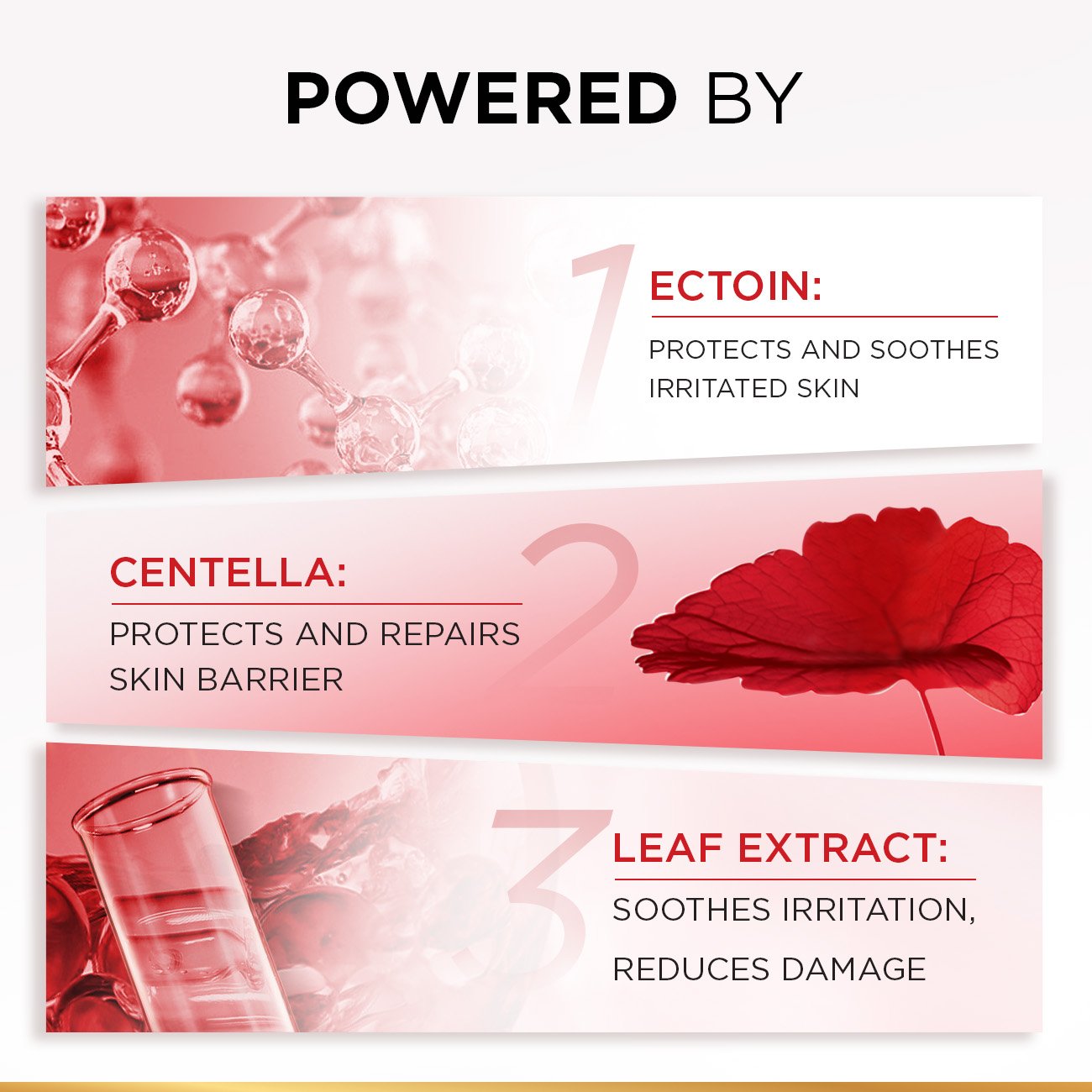 Revitalift Advanced Anti-Wrinkle Firming Emulsion | L’Oréal Paris Malaysia